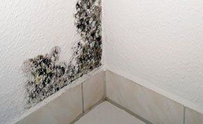 4 Commonly Missed Signs of Excess Moisture in the Basement