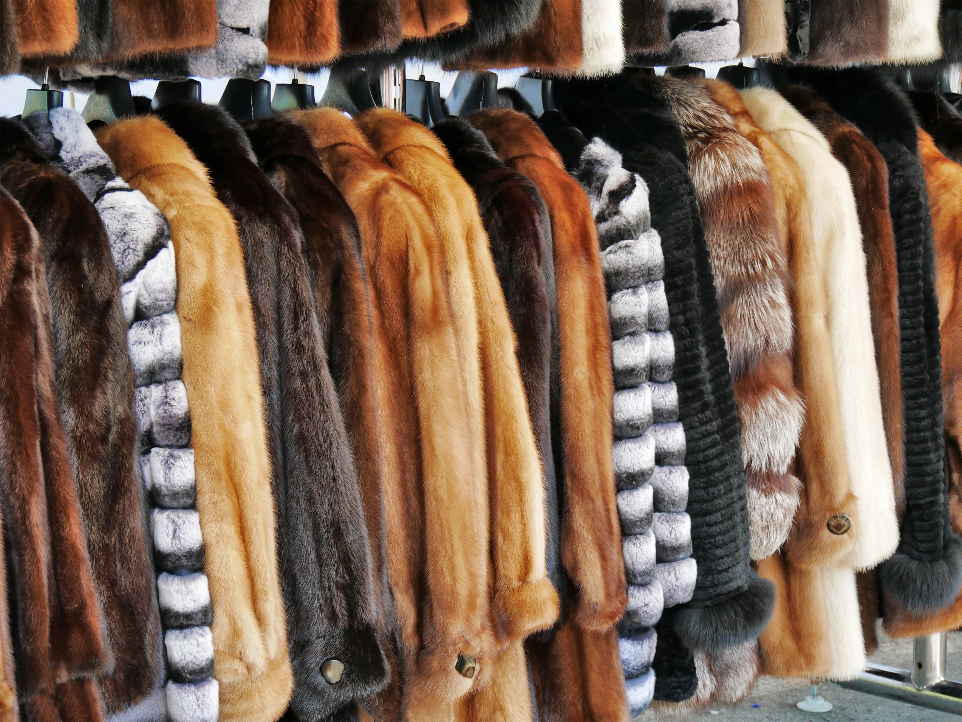 Burtrum Furs & Leathers of Saginaw, MI
