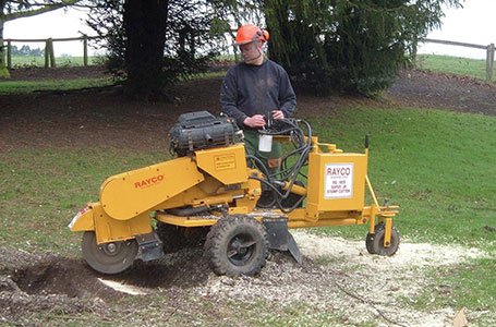 Stump removal services | Northern Stump Cutters