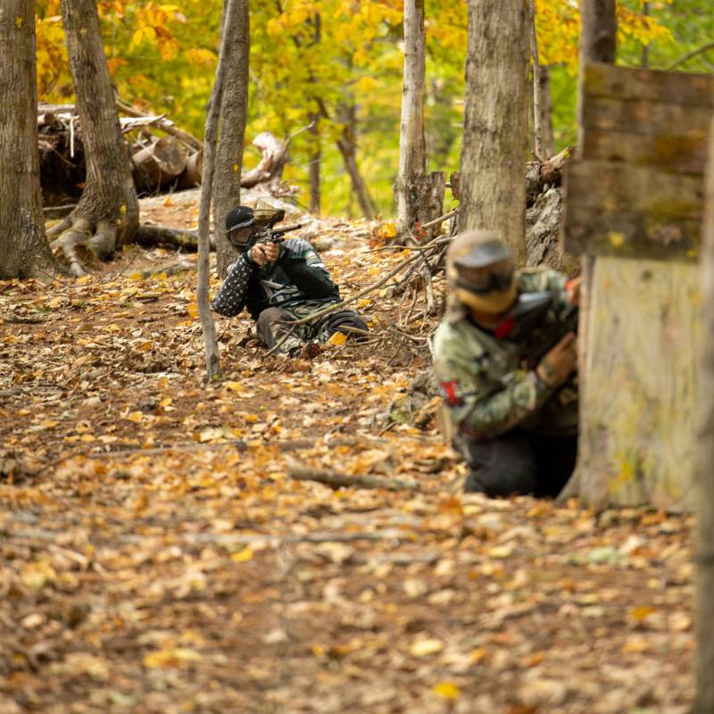 Sherwood Forest | OSG Paintball