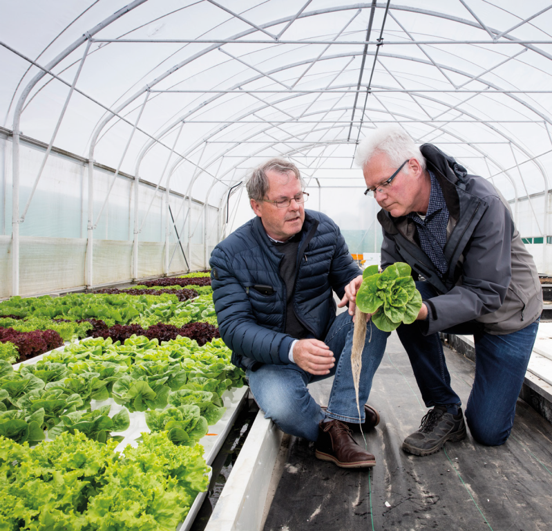 Breakthrough Cultivation On Water