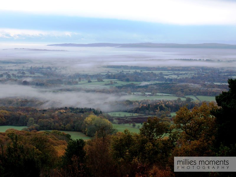 Millies Moments | Landscapes Gallery | Haslemere