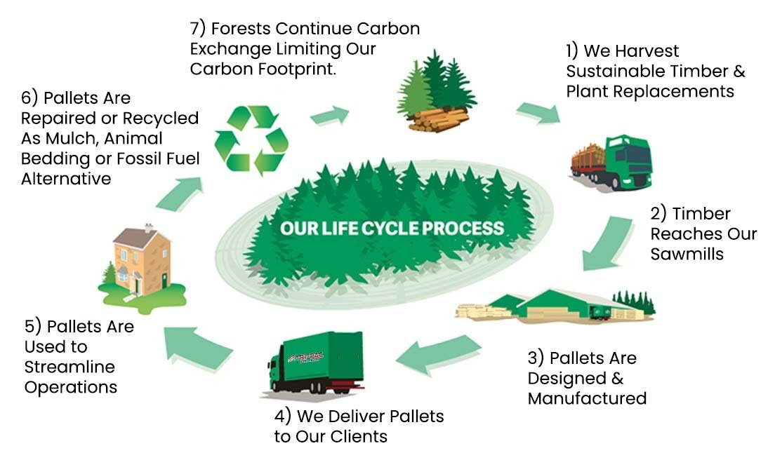 Tri-Pac North America | Total Pallet Management Professionals