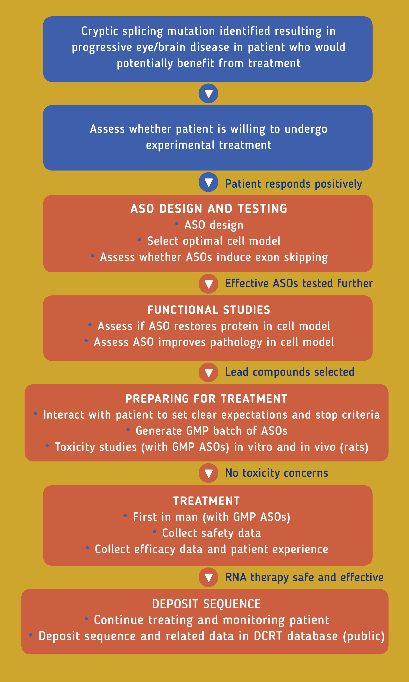 DCRT Dutch Center for RNA Therapeutics