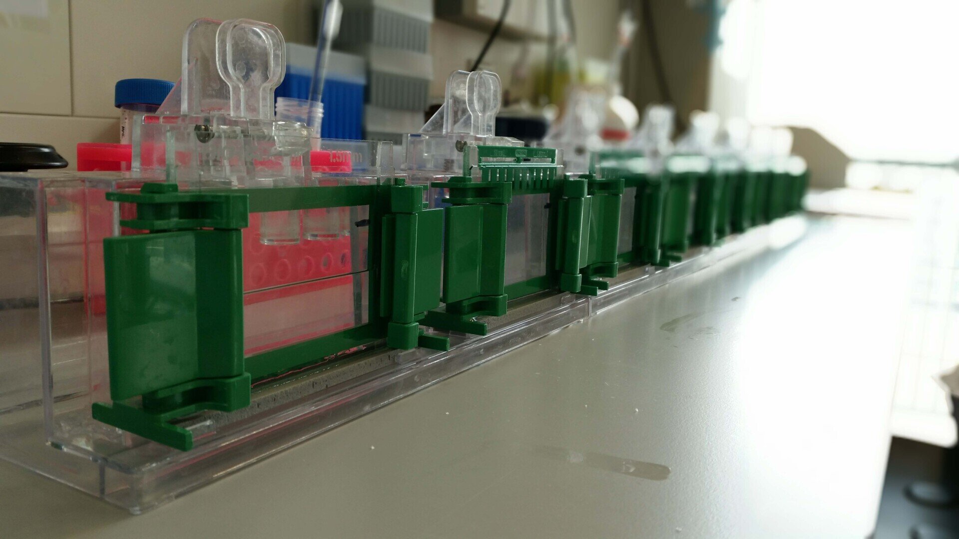 DCRT Dutch Center for RNA Therapeutics