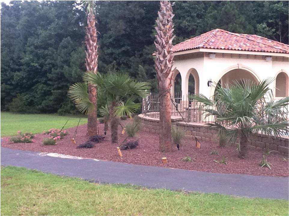 Gallery | Rocky Mount, NC | Bridgers Lawn & Landscape