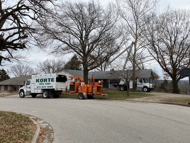 Korte Tree Care | Columbia & Jefferson City, MO