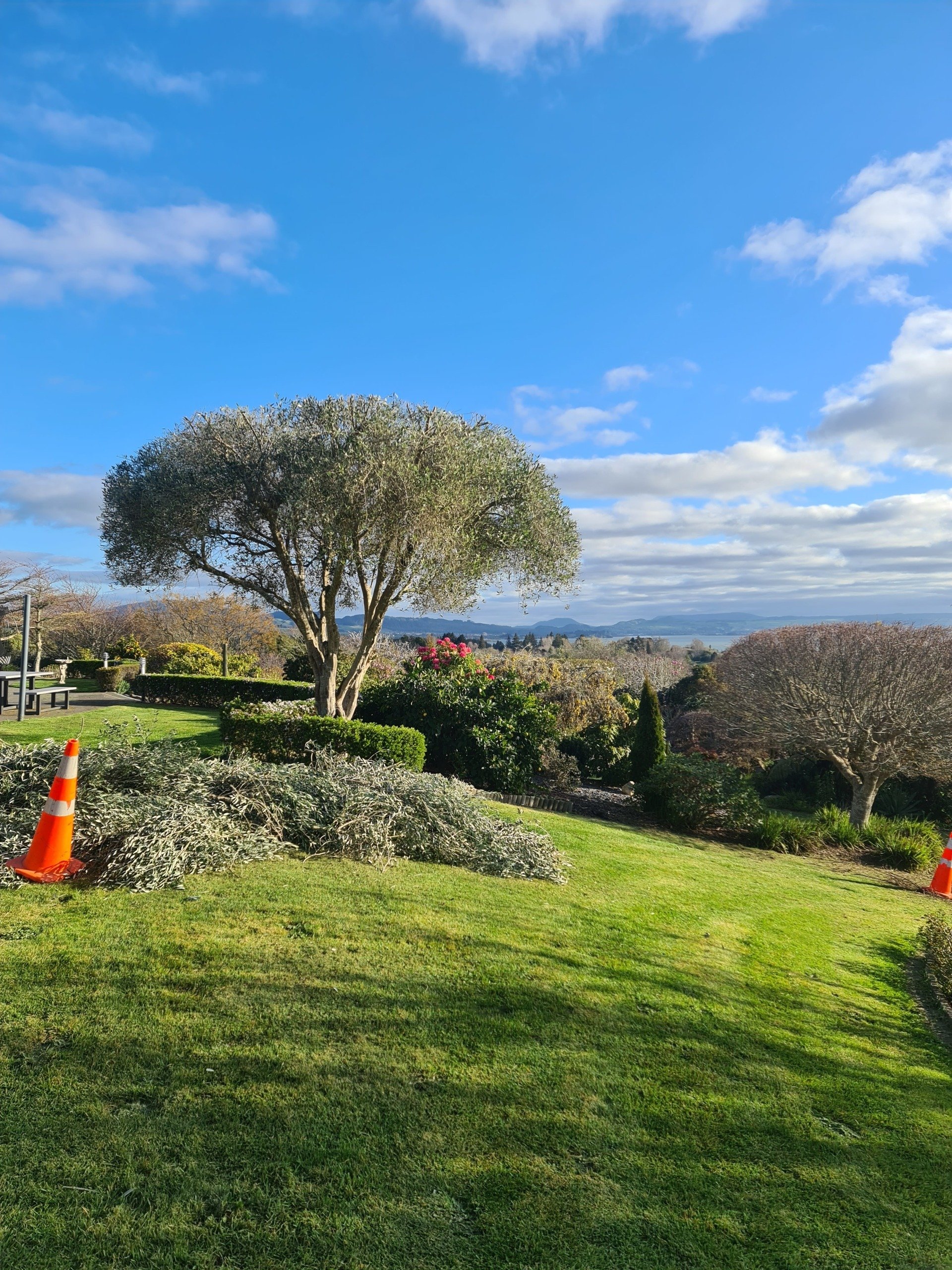 Rotorua Tree Experts | Tree Services Rotorua Arborist