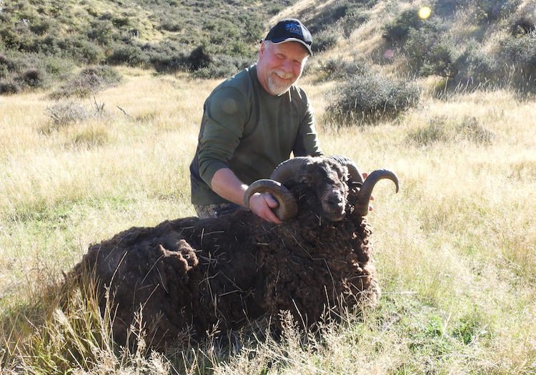 Ram Goat Hunting | New Zealand | South Island | New Zealand Hunting ...