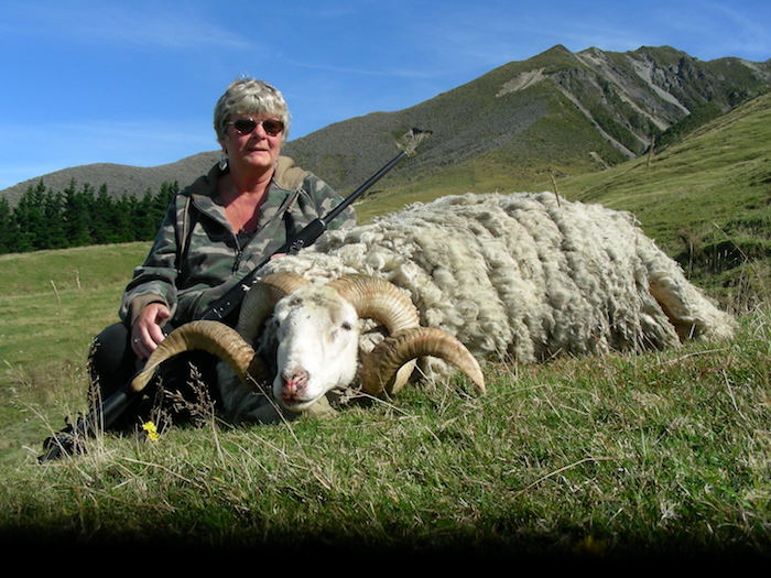Ram Goat Hunting | New Zealand | South Island | New Zealand Hunting ...