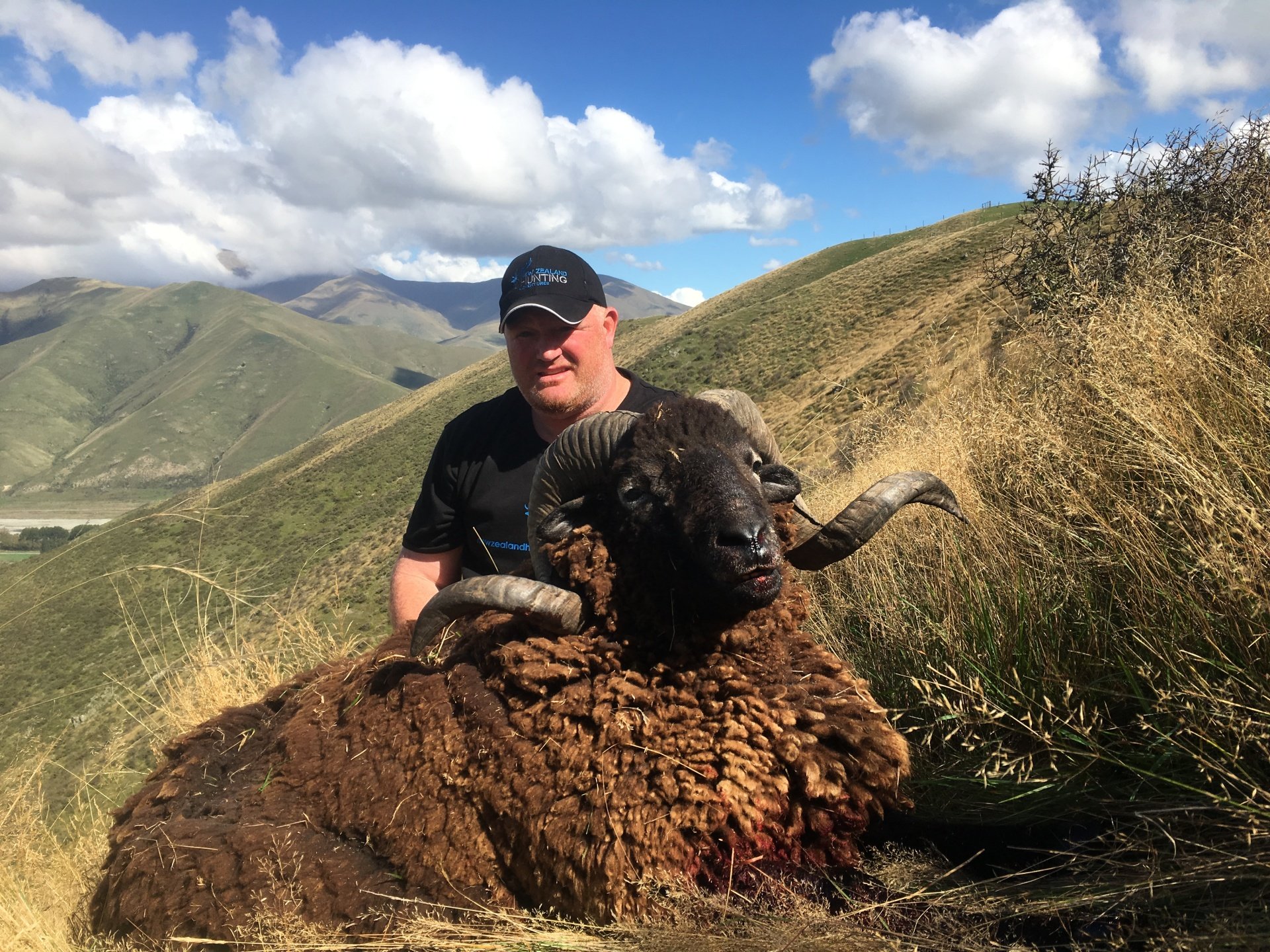 Ram Goat Hunting | New Zealand | South Island | New Zealand Hunting ...