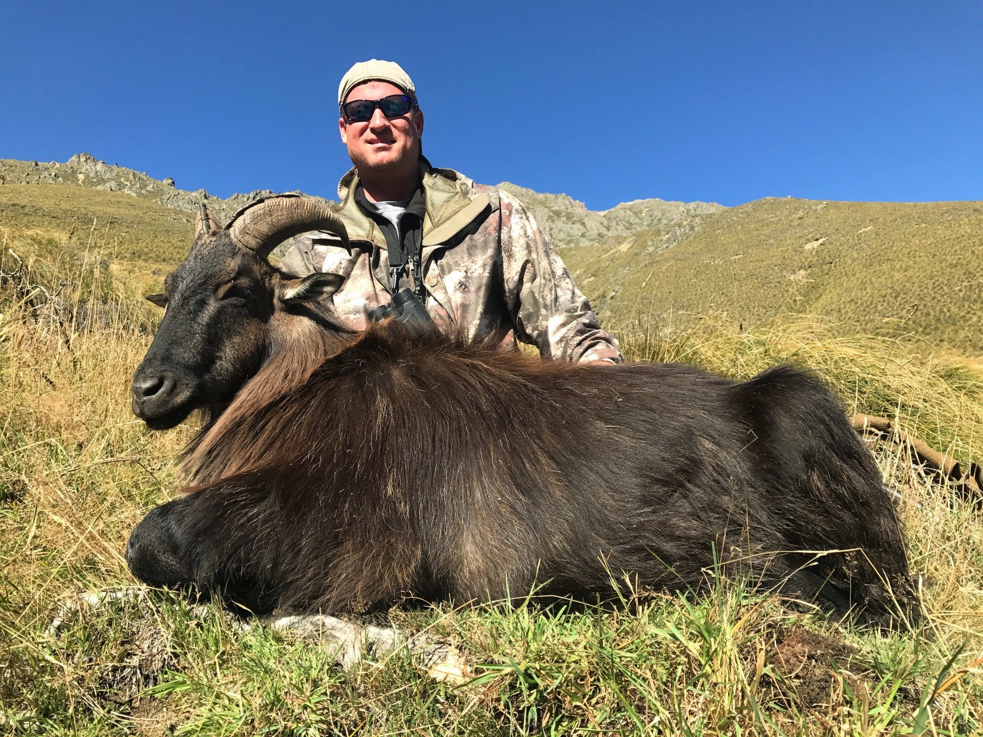 Tahr Hunting | New Zealand | South Island | New Zealand Hunting Adventures