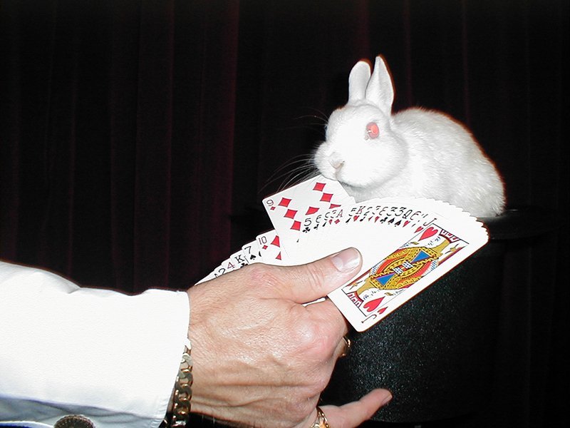 Illusionist | Garry Seagraves Magician