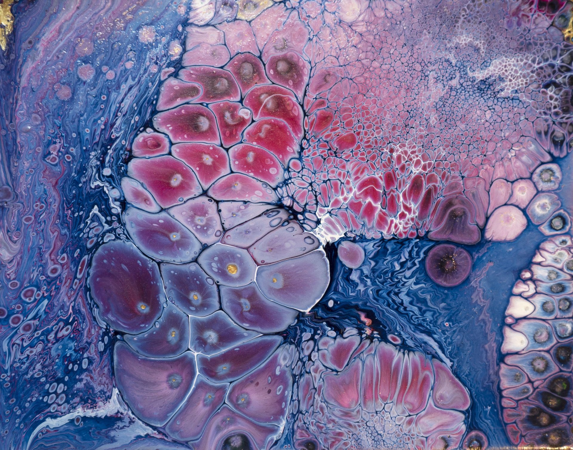 The official website of Mario Sanchez Art