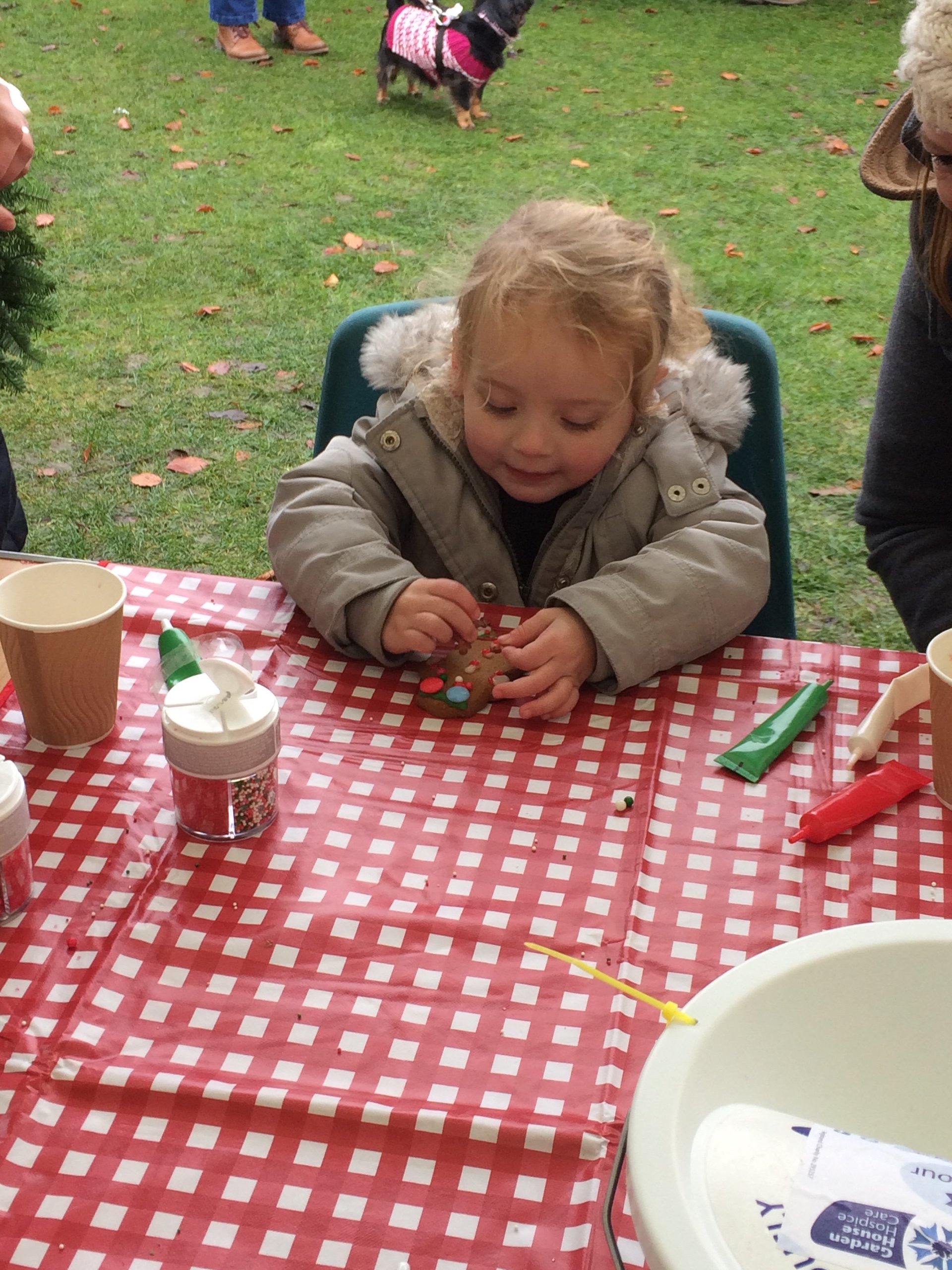 Baldock Christmas Fair