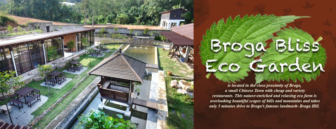 BROGA BLISS ECO GARDEN