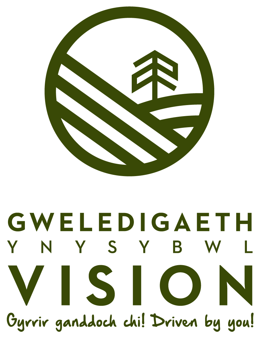Ynysybwl Vision Project | Community Trust | Charity