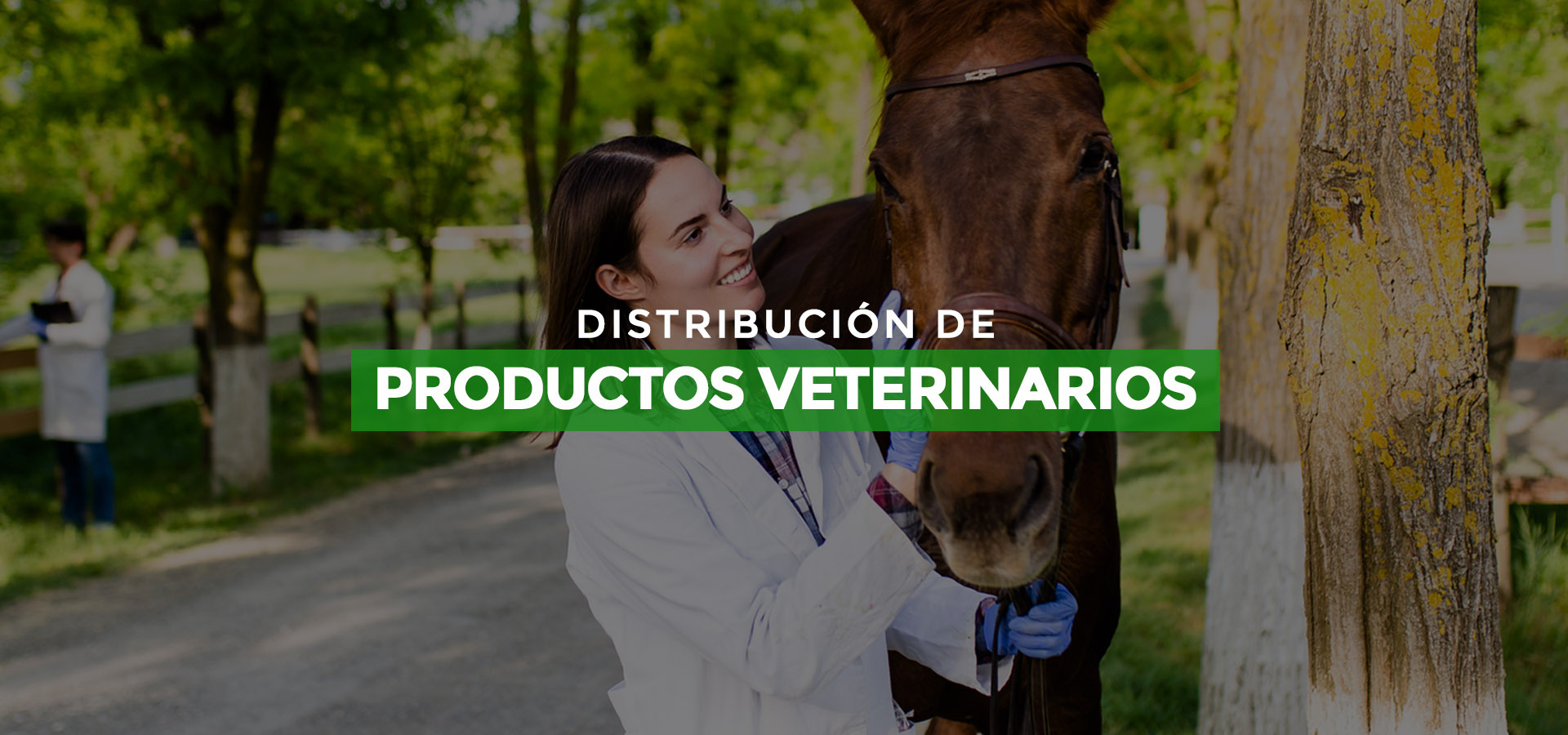 Vetnova S.A.C. - Inicio