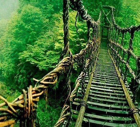 IyaTime: Iya Valley & Oboke Gorge Travel Guide