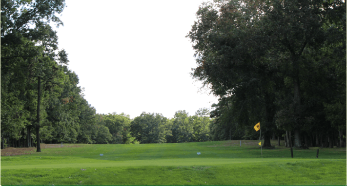 Pinelands Golf Club | History of the Course