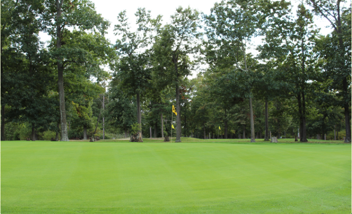 Pinelands Golf Club | History of the Course