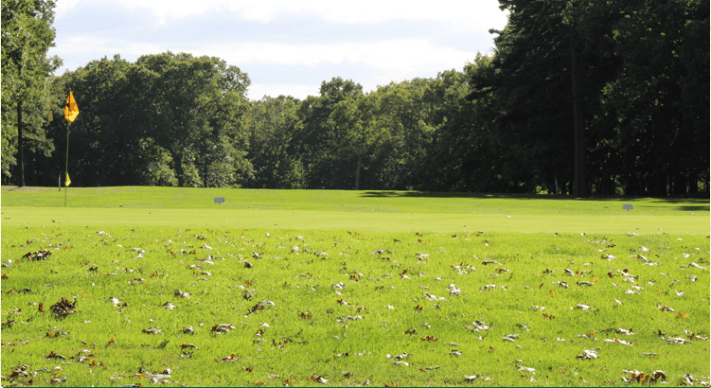 Pinelands Golf Club | History of the Course