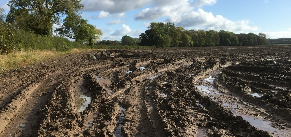 Benefits of gantry tractor including animation