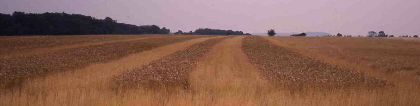 The Gantry Tractor - Farming's Soil Mate
