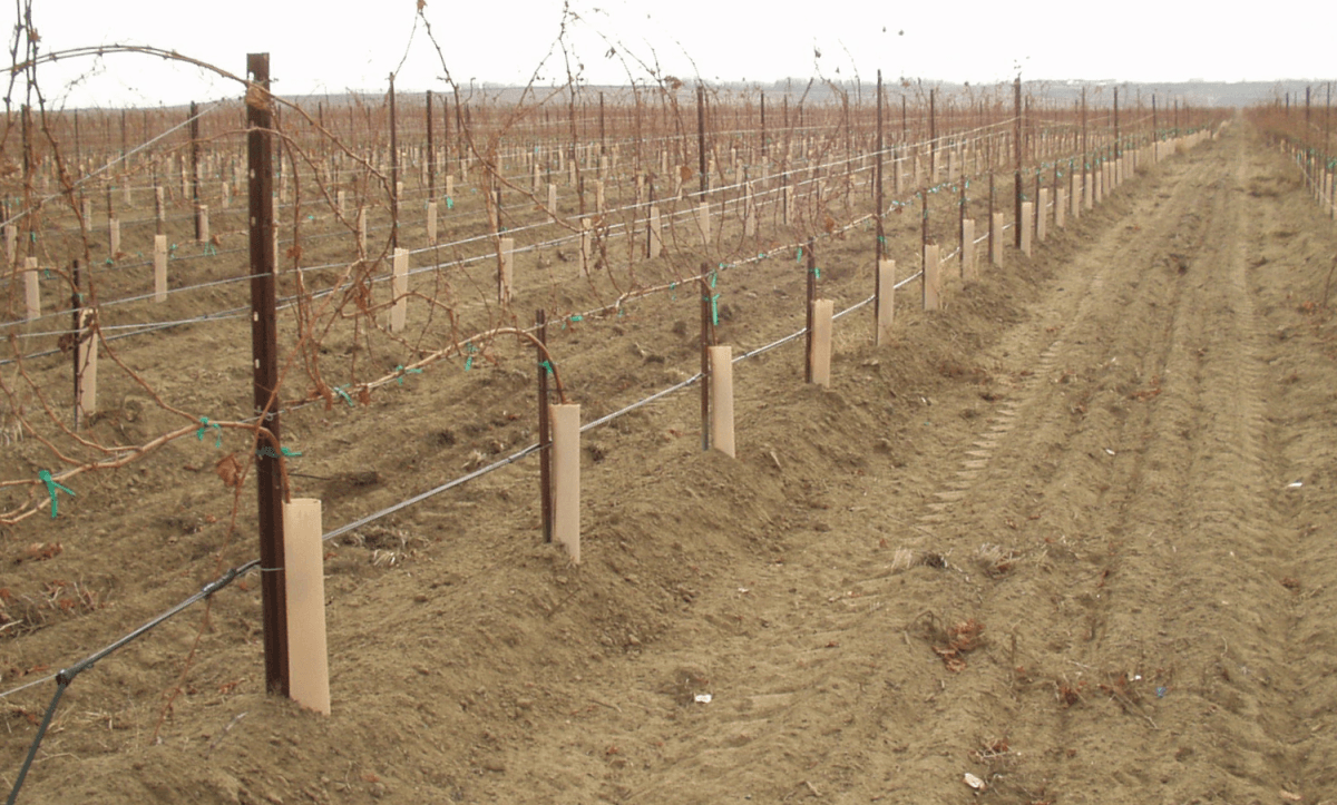 The Gantry Tractor - Farming's Soil Mate