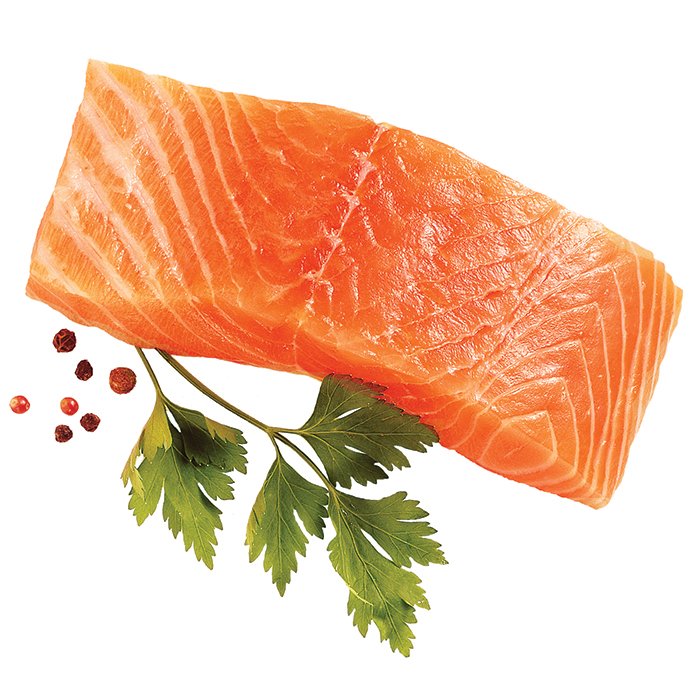 Frozen Seafood – Newark, NJ – Ocean Frost Corp.