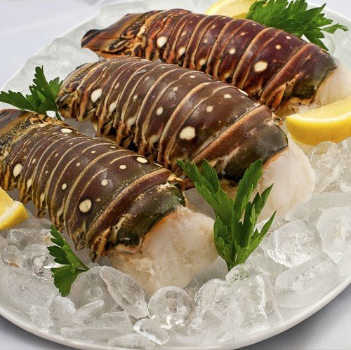Frozen Seafood – Newark, NJ – Ocean Frost Corp.