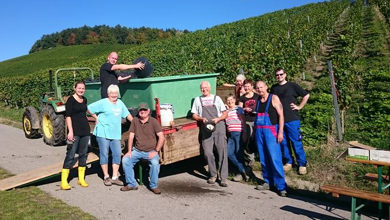 Weingärtnergenossenschaft Aspach - Vinothek