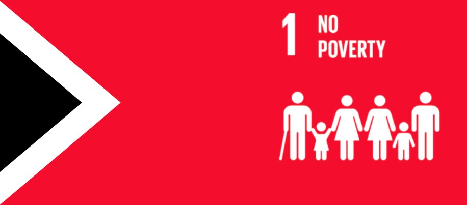 Blue Chip Foundation Goals - UN Sustainable Development Goals
