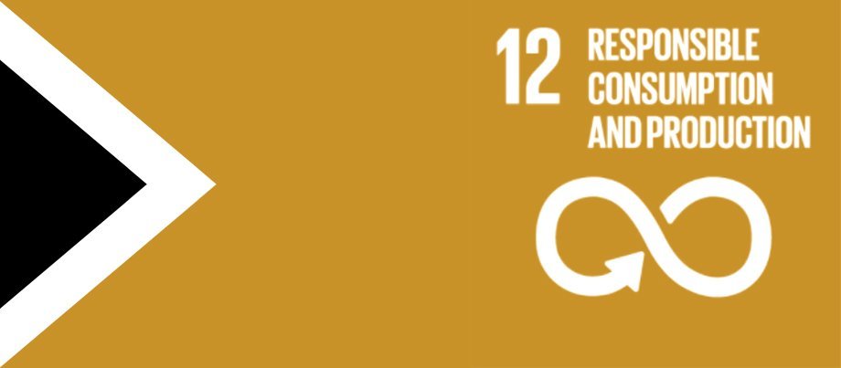 Blue Chip Foundation Goals - UN Sustainable Development Goals