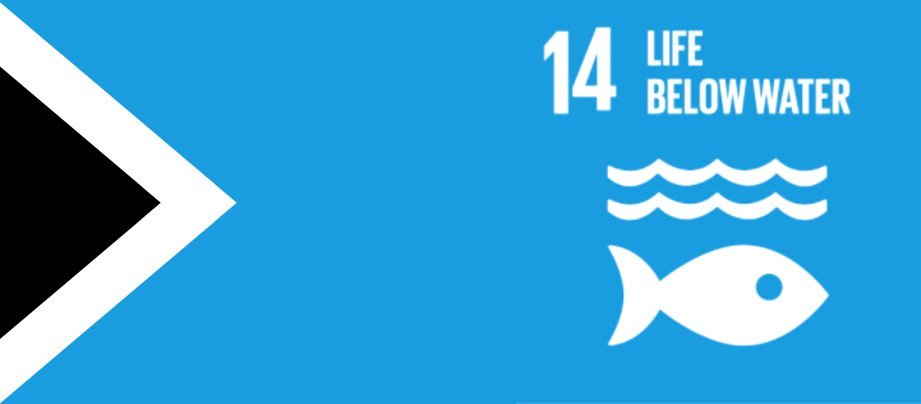 Blue Chip Foundation Goals - UN Sustainable Development Goals
