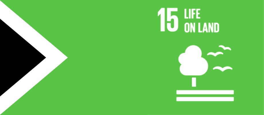 Blue Chip Foundation Goals - UN Sustainable Development Goals