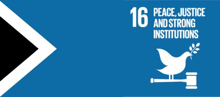 Blue Chip Foundation Goals - UN Sustainable Development Goals