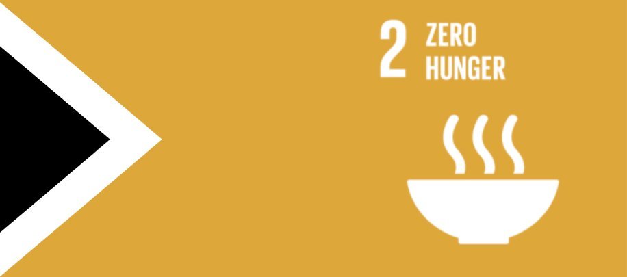 Blue Chip Foundation Goals - UN Sustainable Development Goals