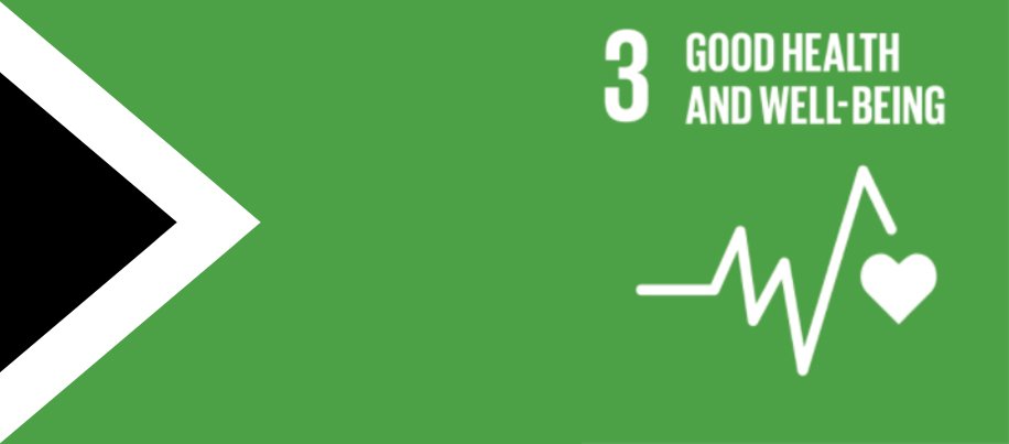 Blue Chip Foundation Goals - UN Sustainable Development Goals