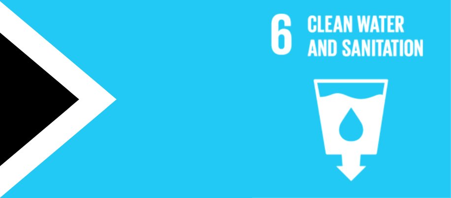 Blue Chip Foundation Goals - UN Sustainable Development Goals