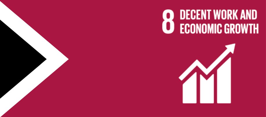 Blue Chip Foundation Goals - UN Sustainable Development Goals