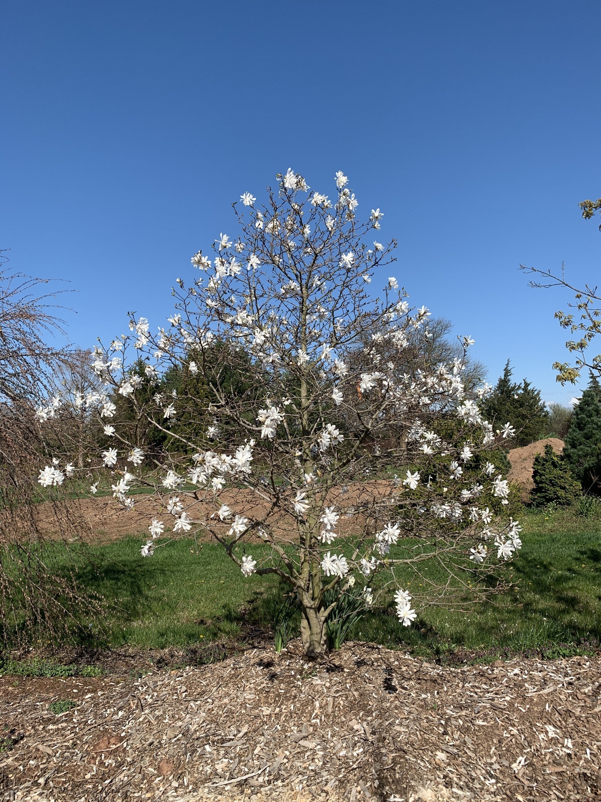 Our Products | Hidden Acres Nursery