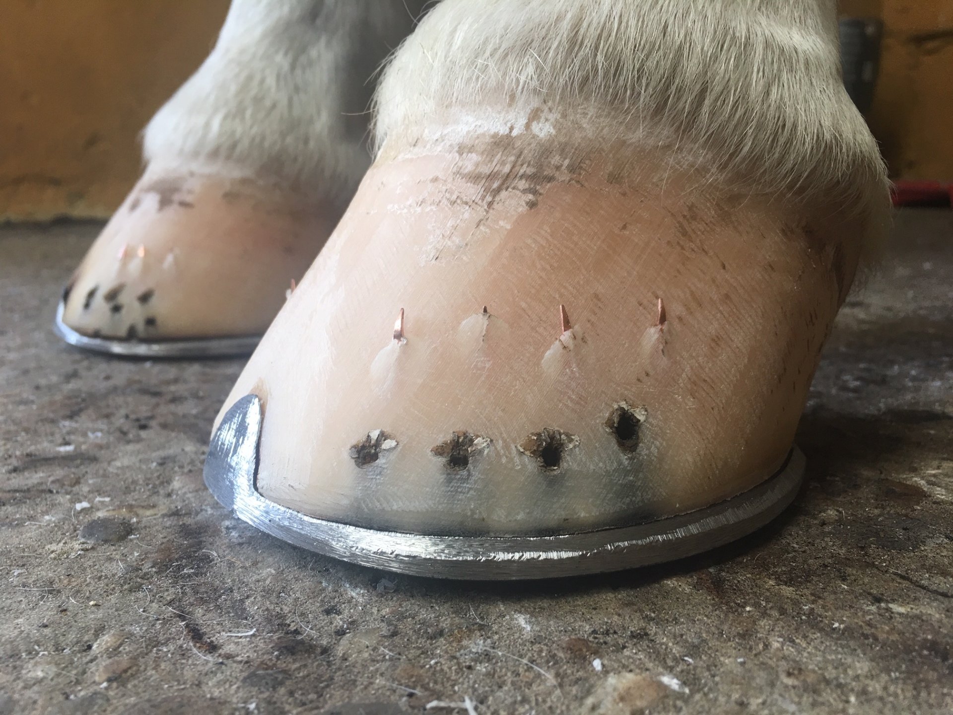 Home [www.hoefsmederij.eu]