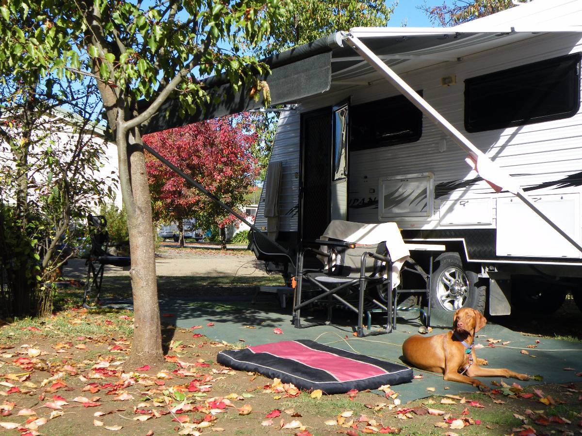 Lake Hamilton Motor Village and Caravan Park