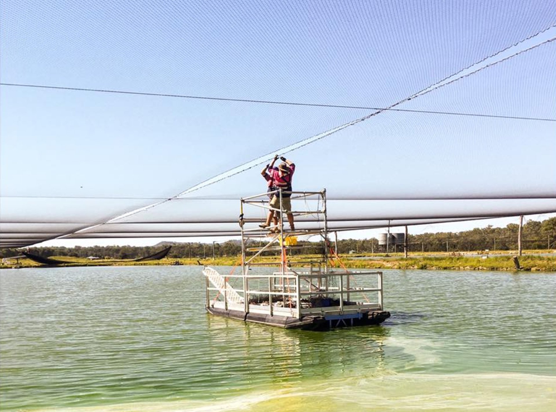 Gallery | Southern Cross Netting