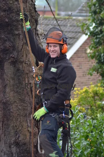 Tree surgeon near me | S. R. Trees