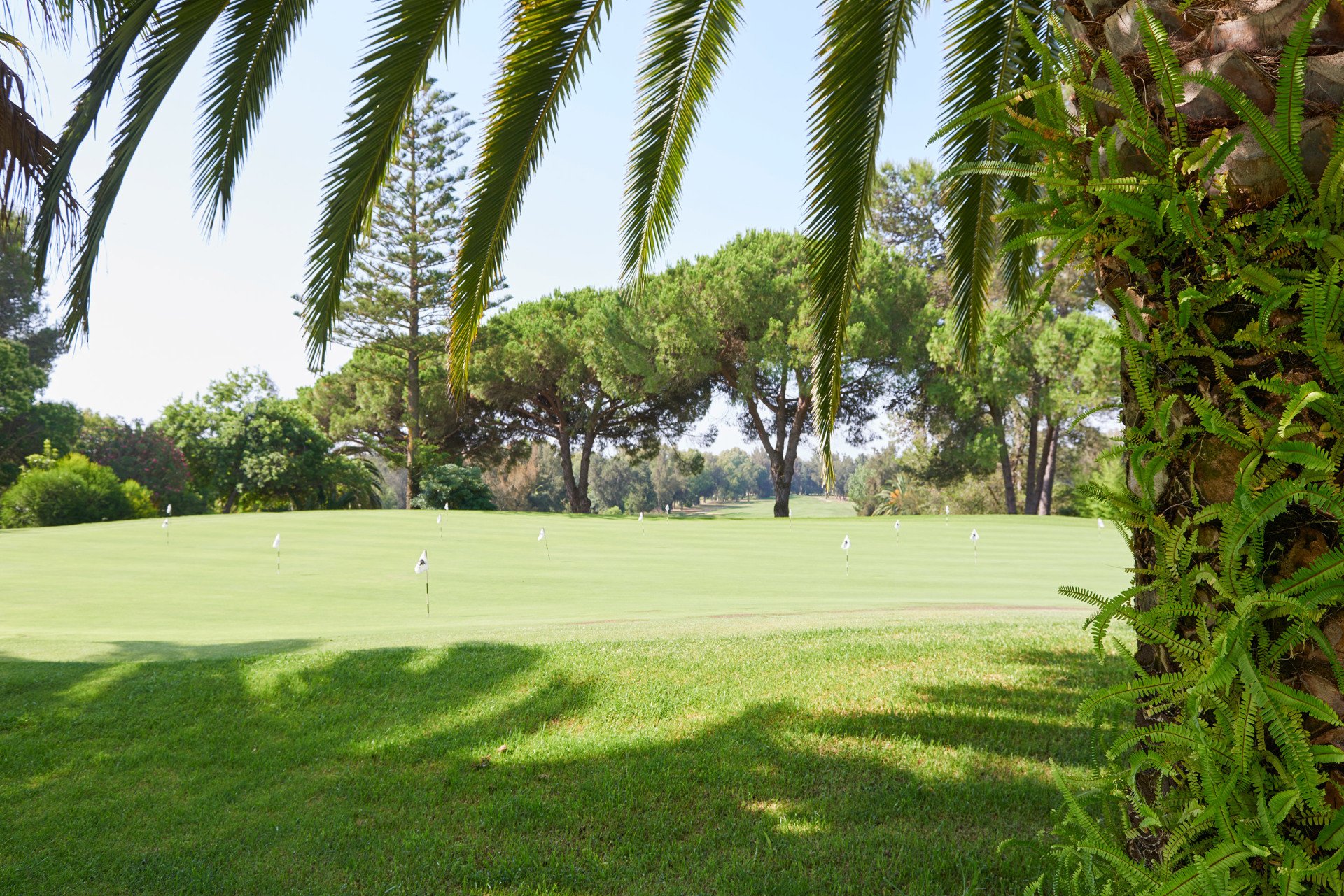 Penina Golf Resort & Academy, Algarve | JJW Hotels & Resorts