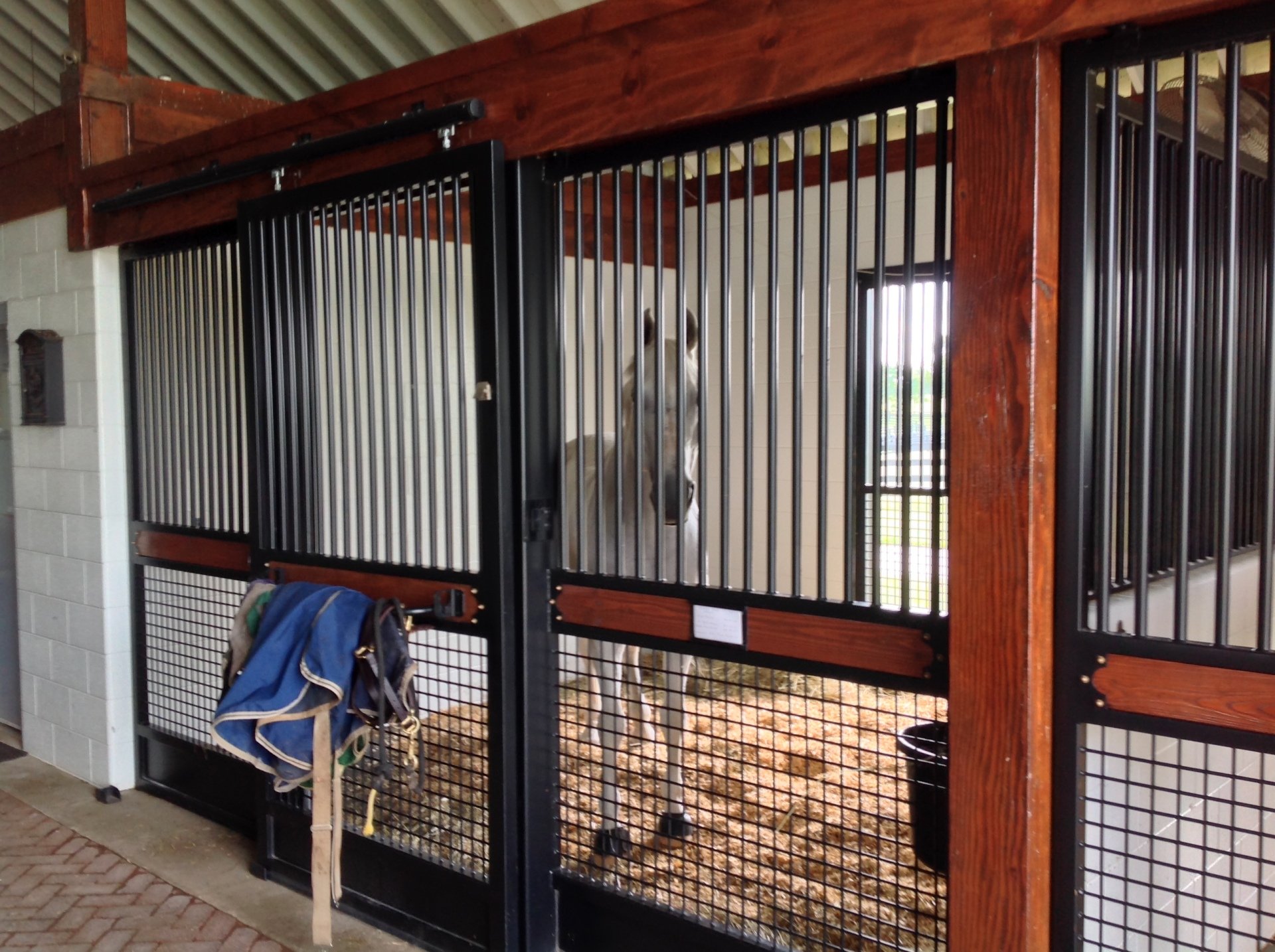 Project Gallery of Equestrian Facilities | Advanced Equine