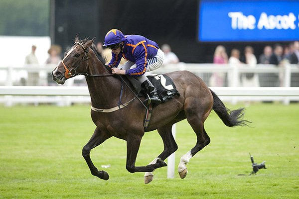 Gordon‑Watson | International Bloodstock Agency