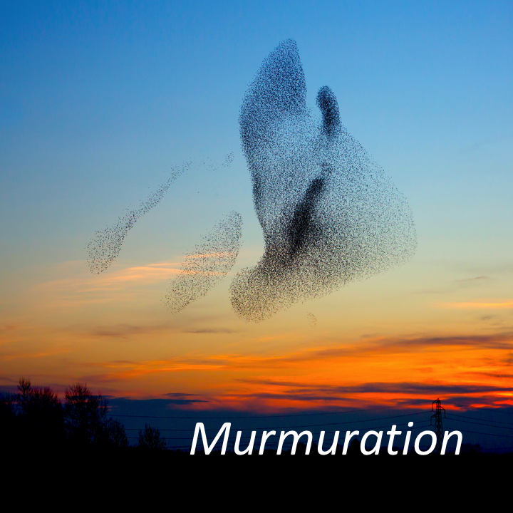 Lifepoems: simple poems, beautiful photographs about Ireland